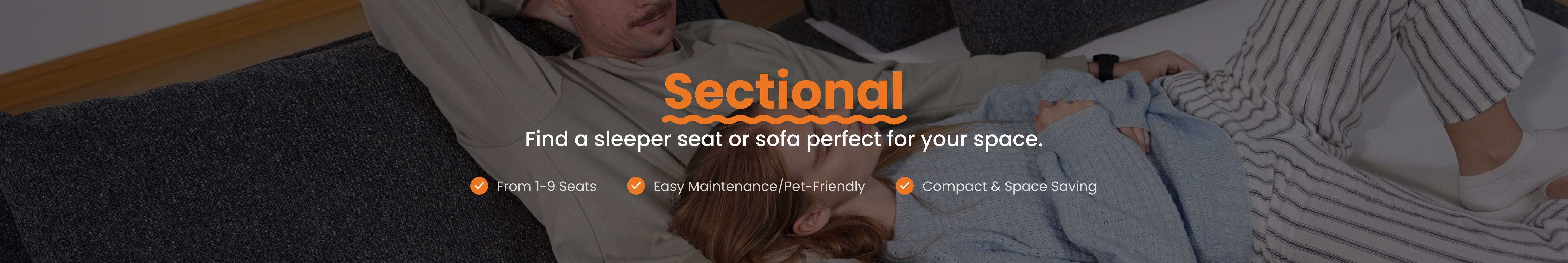 Sectional Sleeper Sofa – Cushie